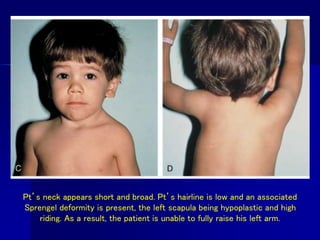 Traumatology introduction.ppt