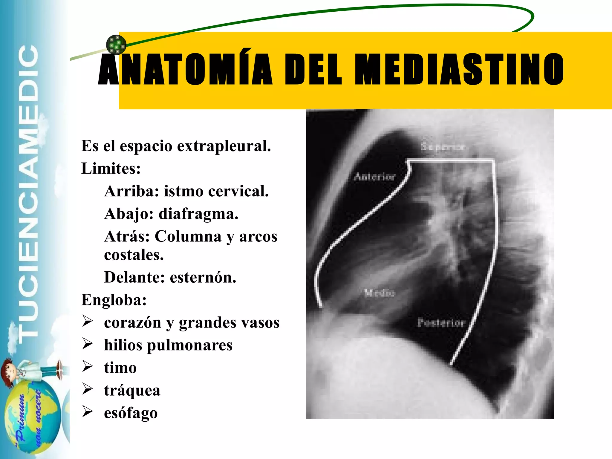 Trauma Toracico FMH UNPRG TUCIENCIAMEDIC | PPT