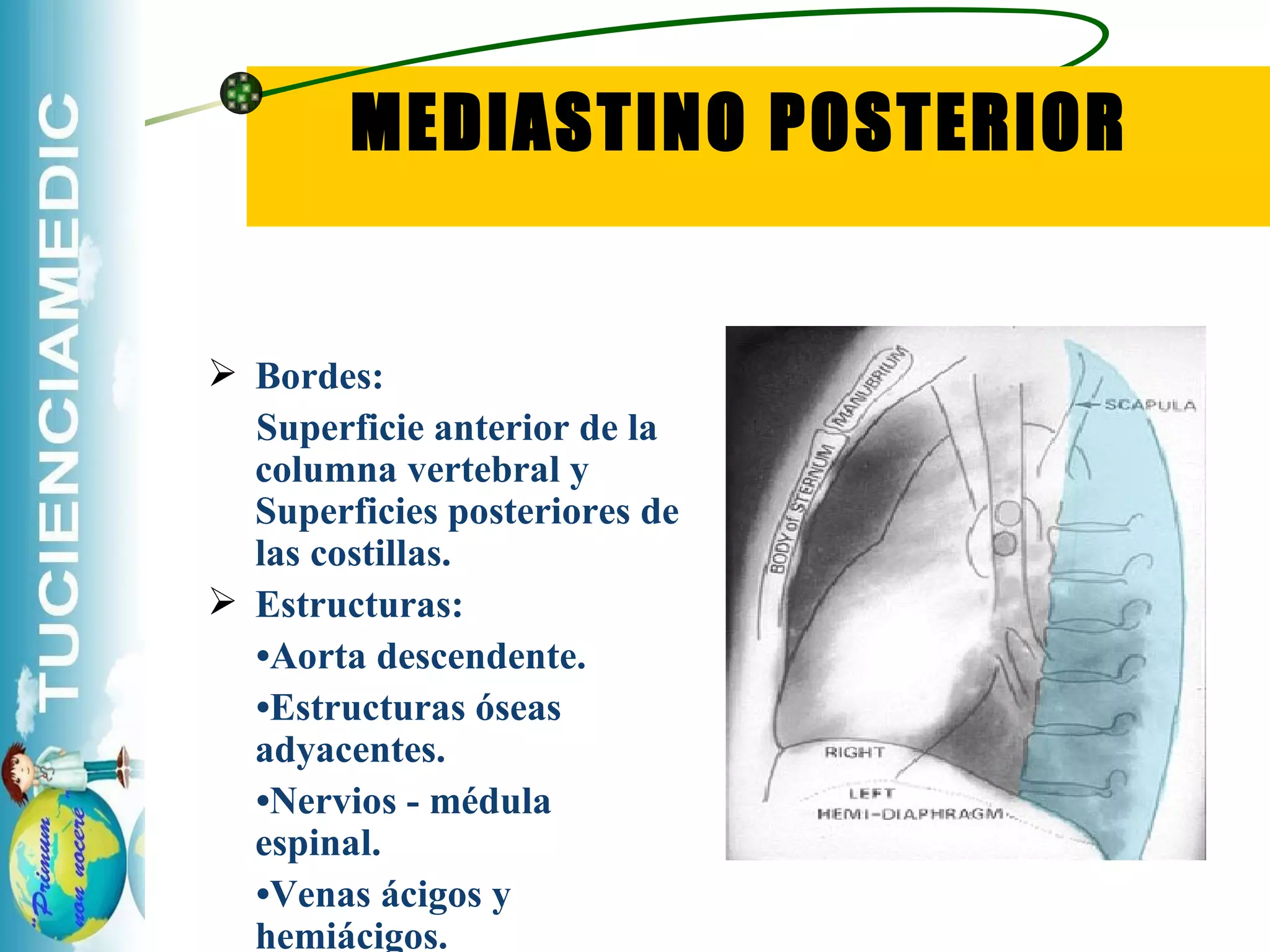 Trauma Toracico FMH UNPRG TUCIENCIAMEDIC | PPT