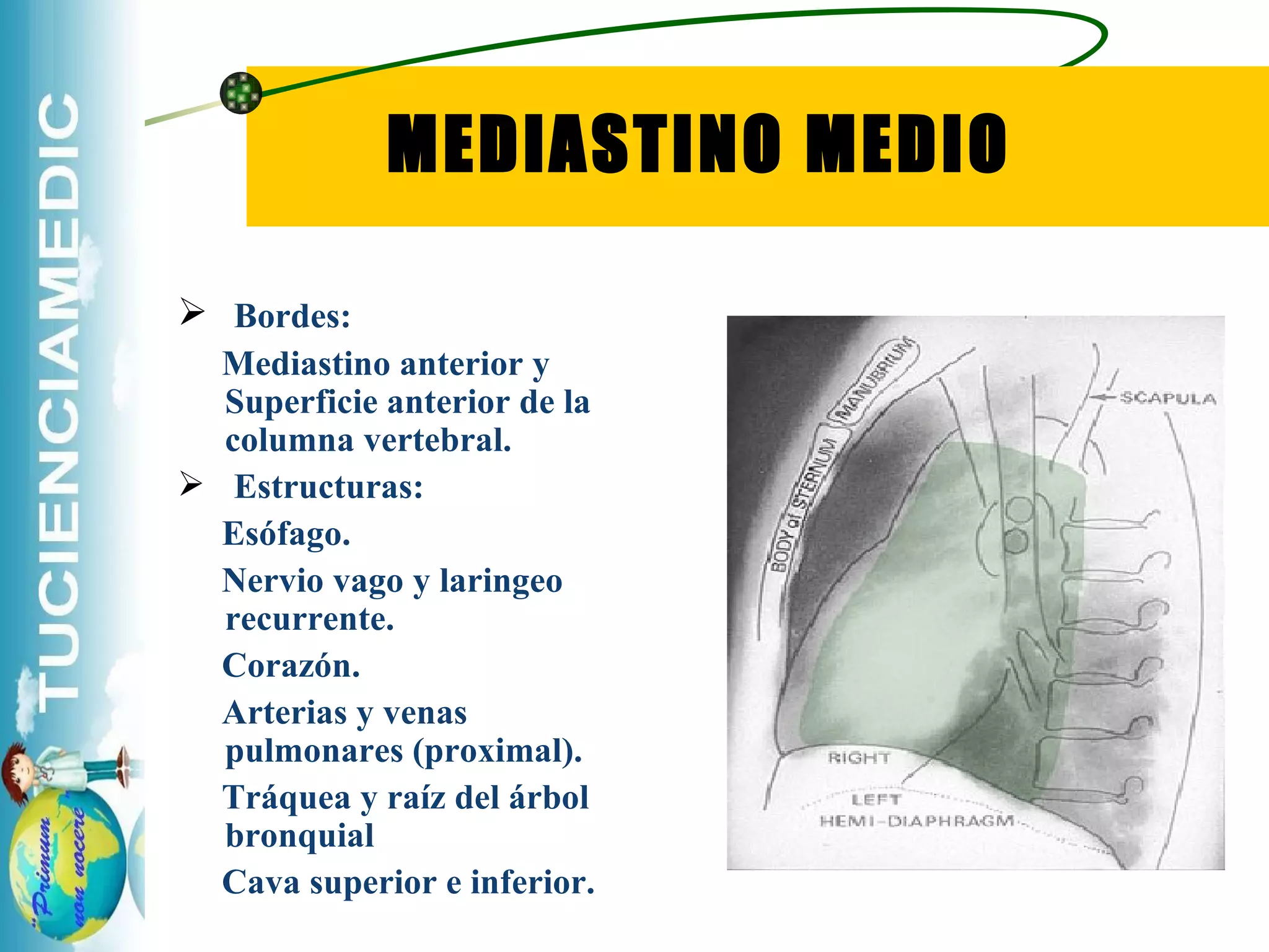 Trauma Toracico FMH UNPRG TUCIENCIAMEDIC | PPT