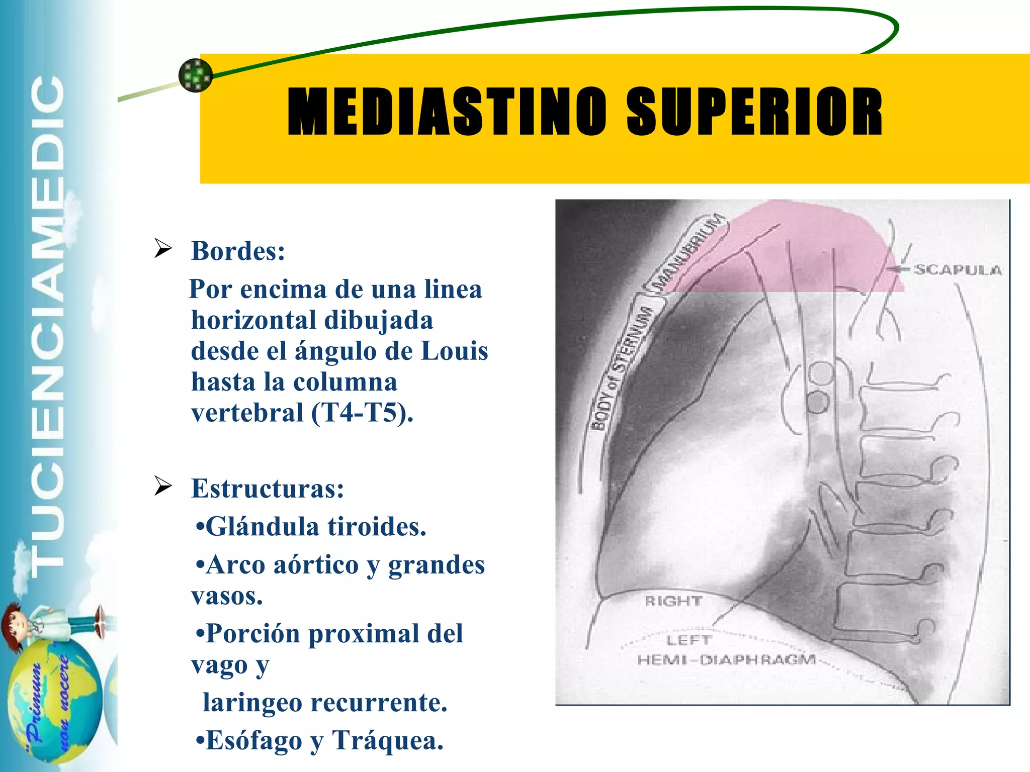 Trauma Toracico FMH UNPRG TUCIENCIAMEDIC | PPT