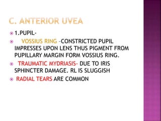 TRAUMA TO THE GLOBE-ocular trauma-1.pptx