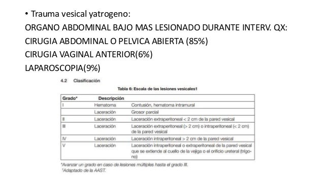 Trauma uretral y vesical urologia