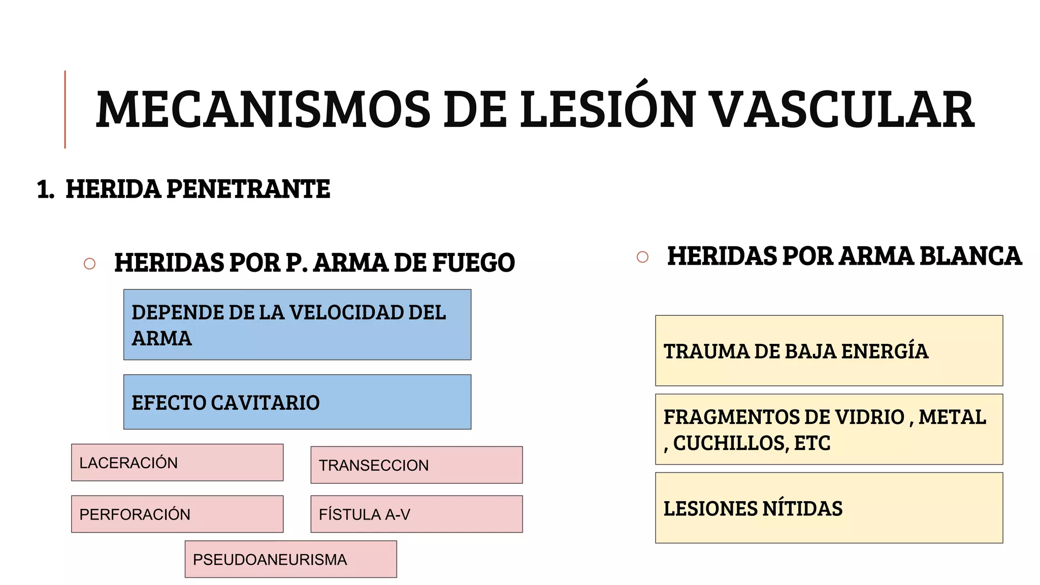 Trauma Vascular | PPT