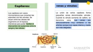 TRAUMA VASCULAR, diagnostico y tratamiento.pptx