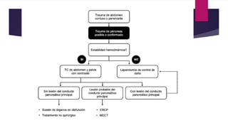 Comprehensive Management and Diagnosis of Pancreatic Trauma in Adults ...