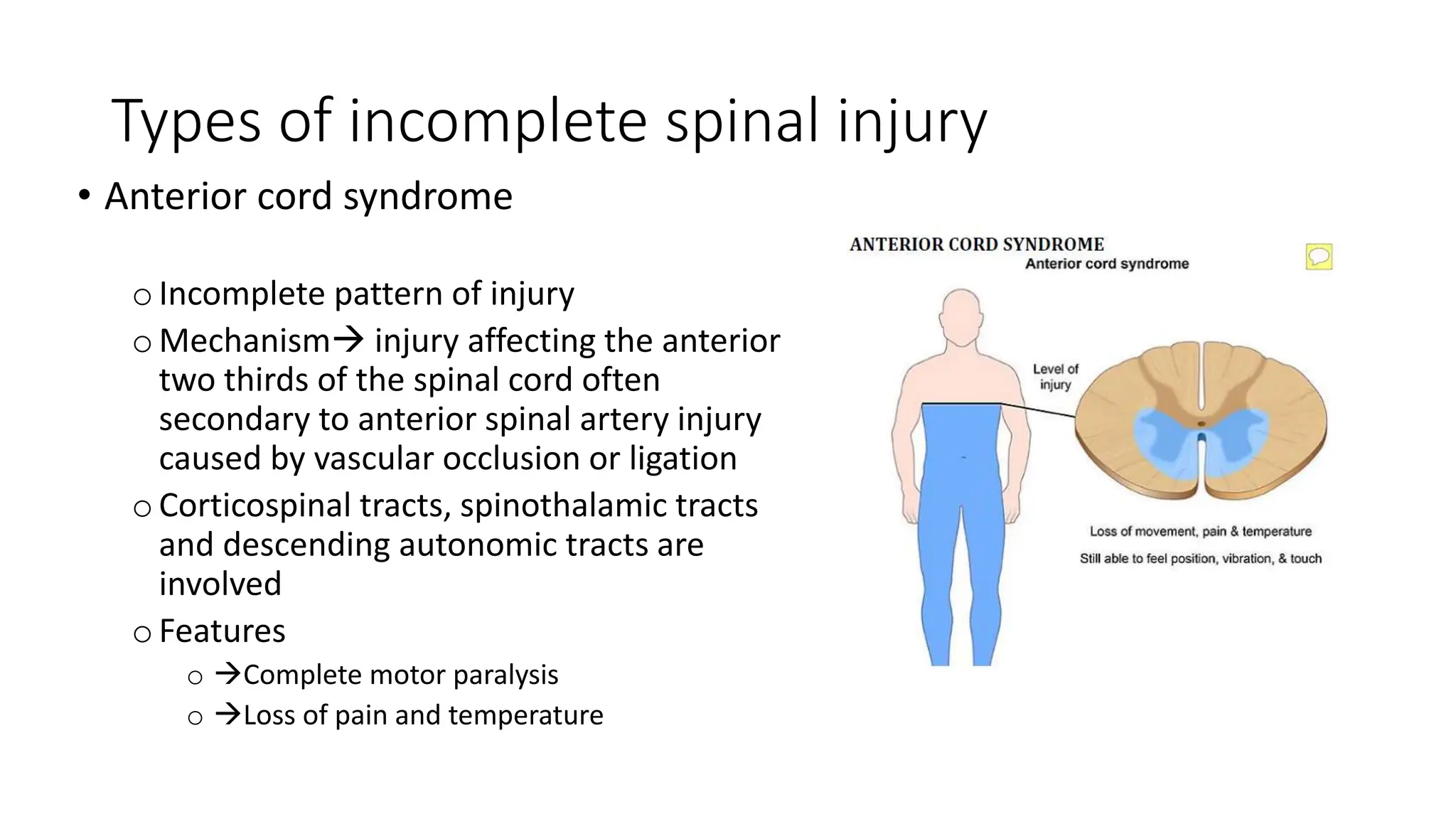 Rapid review regarding management of TRAUMTIC SPINAL CORD INJURY.pptx