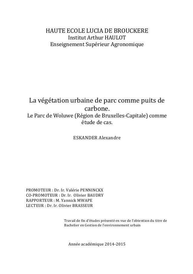 Travail de fin d'etudes