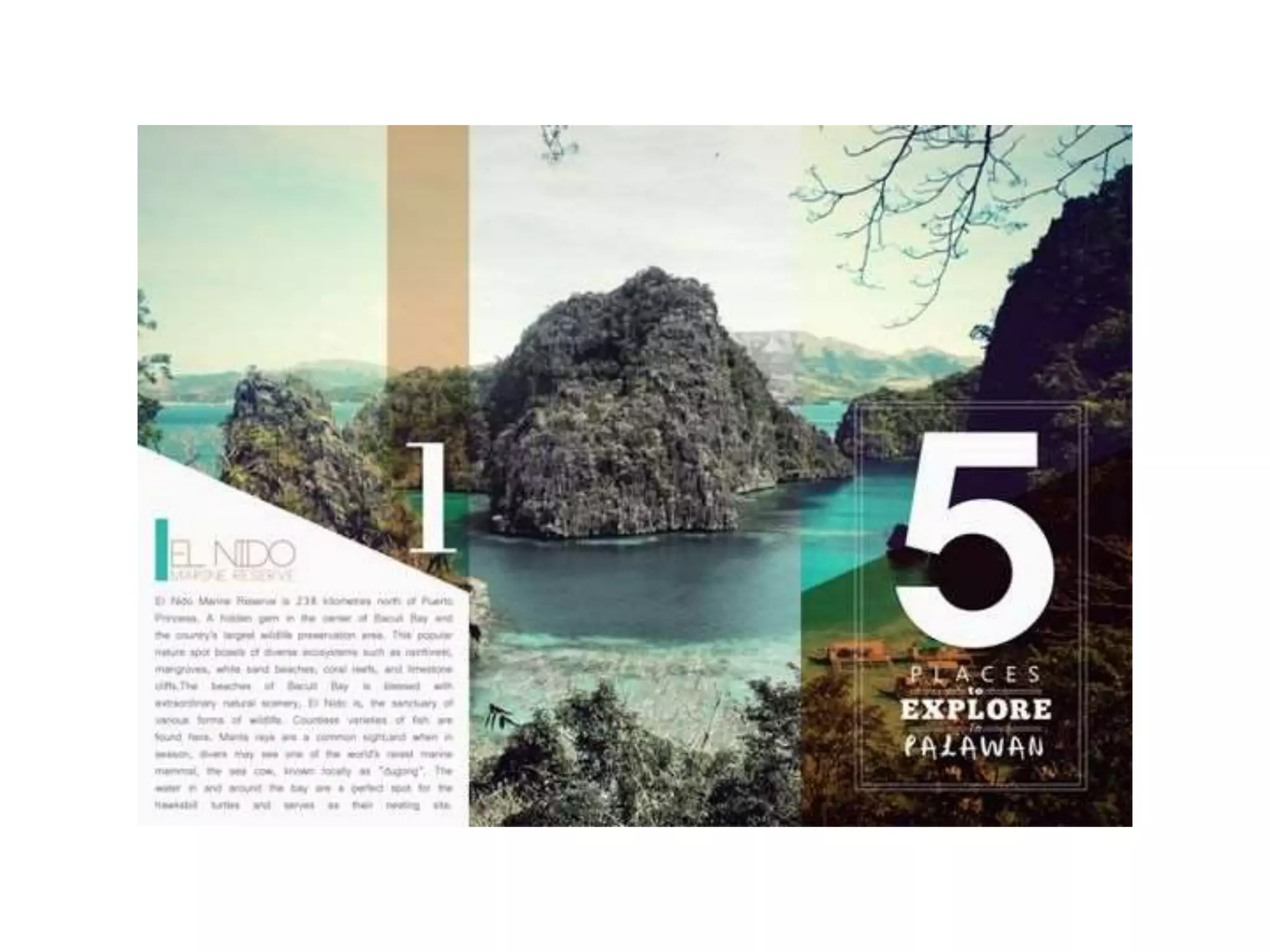 Travel brochure | PPTX