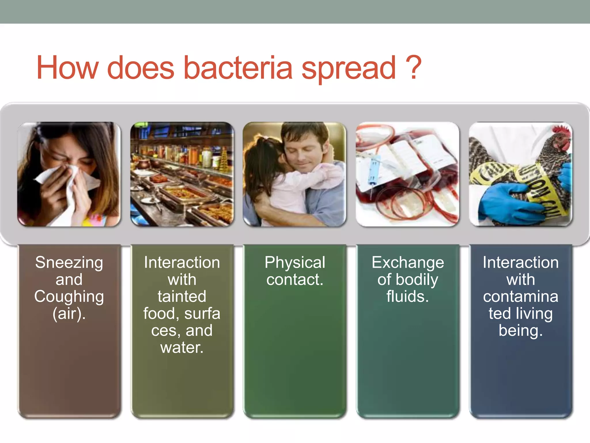 Bacterial infections | PPTX