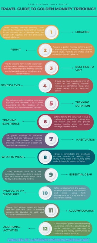 Travel Guide To Golden Monkey Trekking!!. | PDF