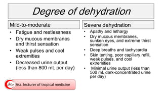 Travellers diarrhea | PDF