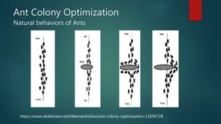 Travelling and salesman problem using ant colony optimization | PPTX