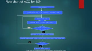 Travelling and salesman problem using ant colony optimization | PPTX