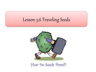 Travelling seeds | PPTX