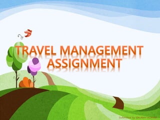 Frankfinn Travel Assignment | PPT