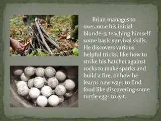 Hatchet Brian Robeson Shelter