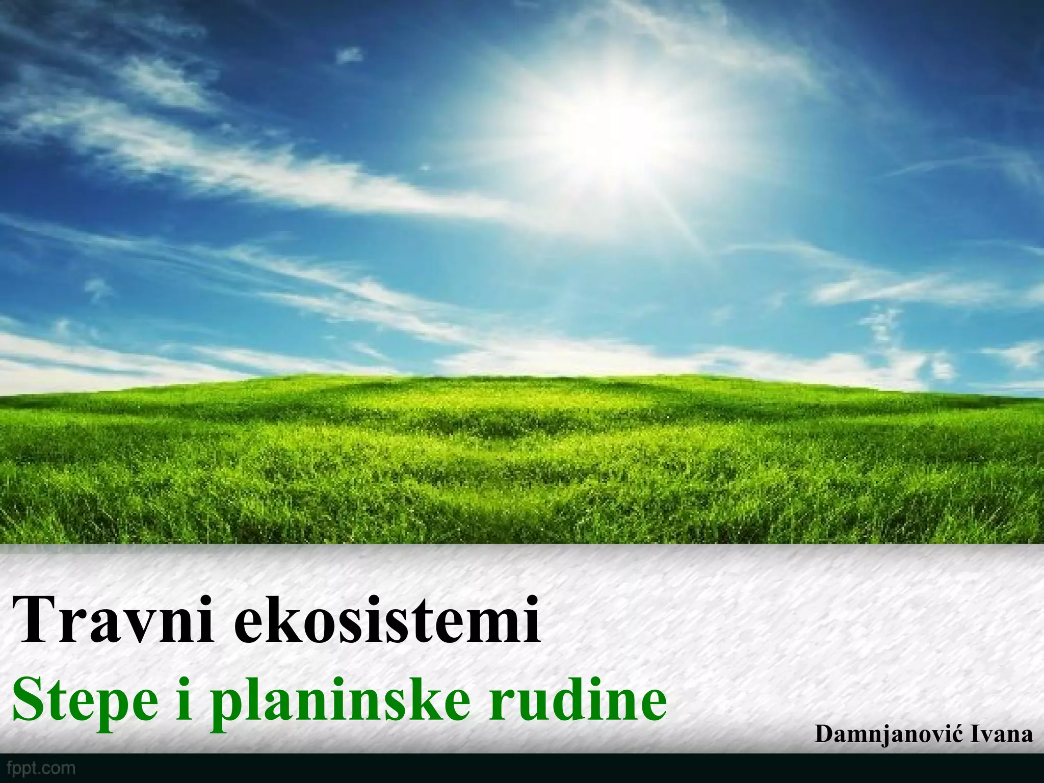 Travni ekosistemi: stepe i planinske rudine | PPT