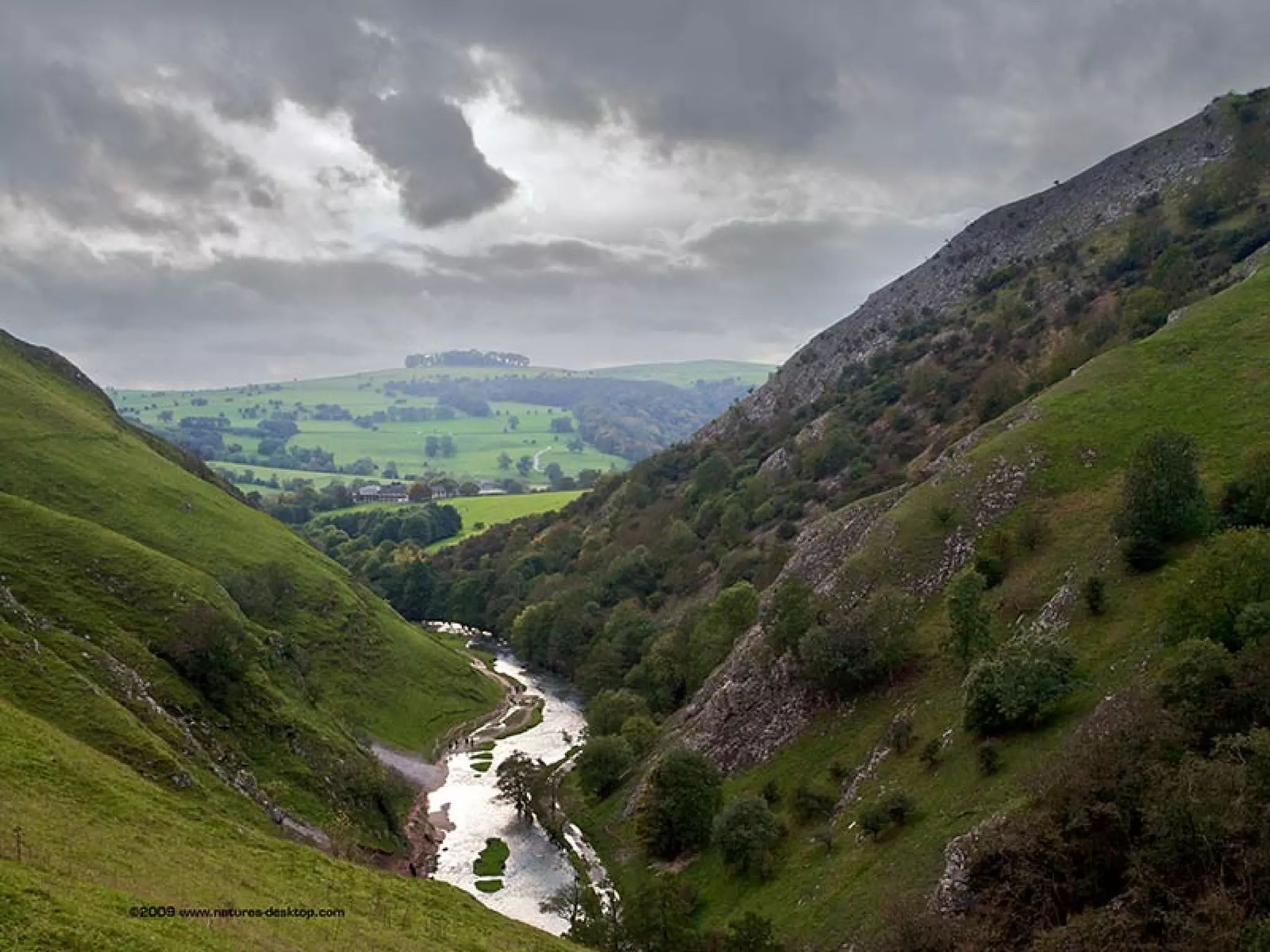 Travni ekosistemi: stepe i planinske rudine | PPT