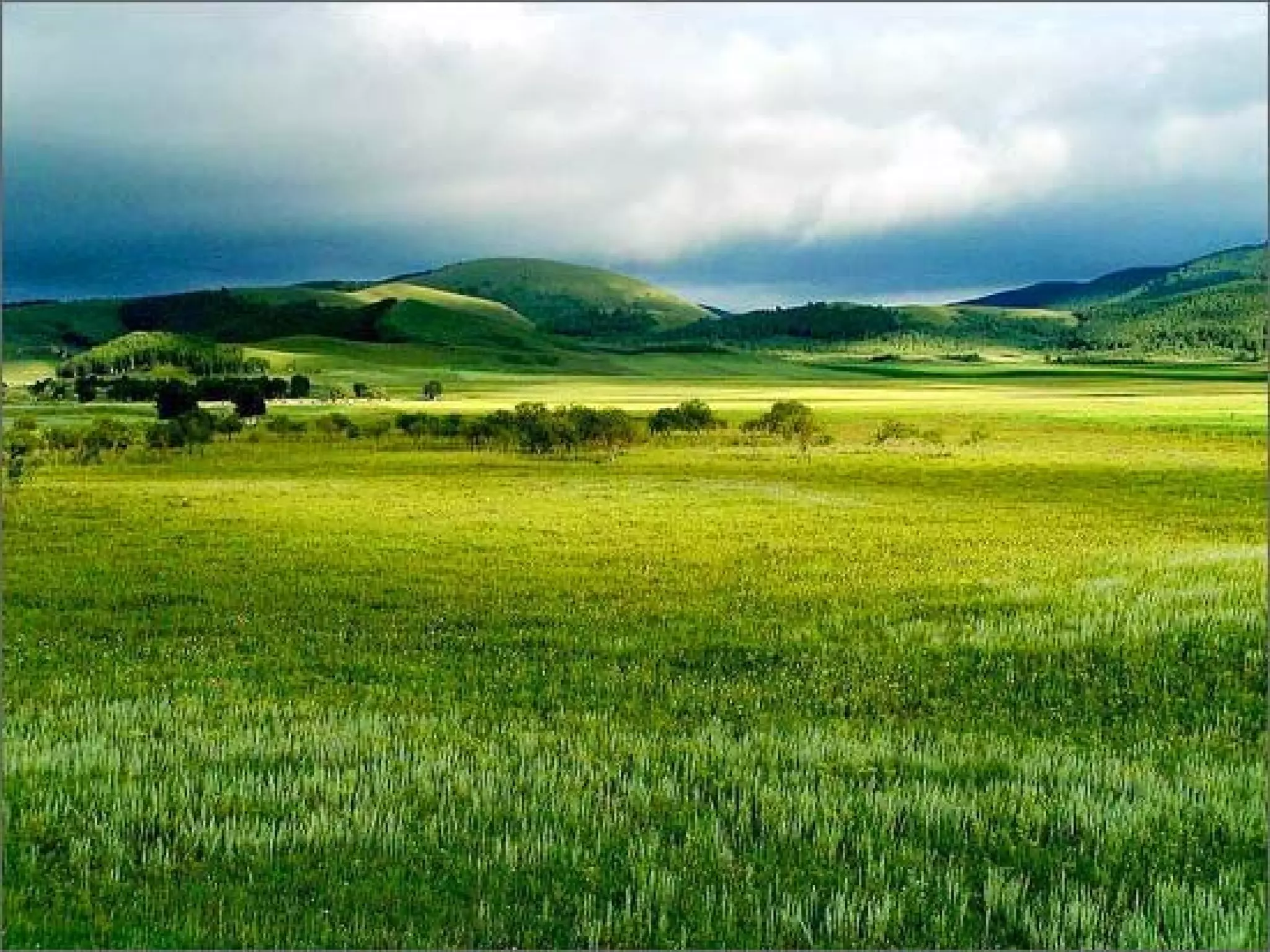 Travni ekosistemi: stepe i planinske rudine | PPT