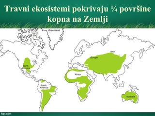 Travni ekosistemi: stepe i planinske rudine | PPT