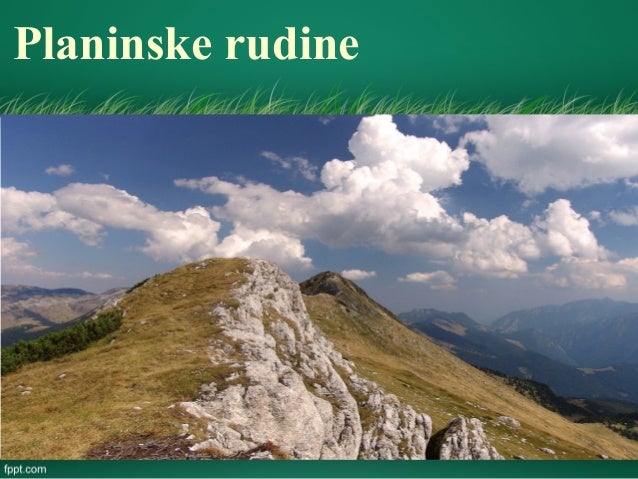 Travni ekosistemi: stepe i planinske rudine