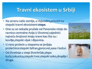 Travni ekosistemi | PPTX