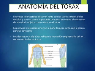 Anatomía Tórax | PPTX