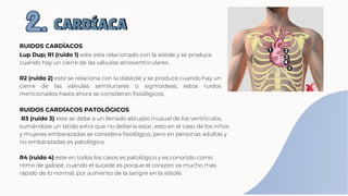 Descripción semiología de tórax para principiantes. | PDF