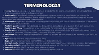 Descripción semiología de tórax para principiantes. | PDF