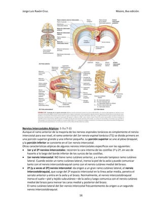 Anatomía Tórax anatomía moore8va edición.pdf
