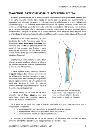 TRAYECTO DE LOS VASOS FEMORALES - Lassalle Becerra.pdf