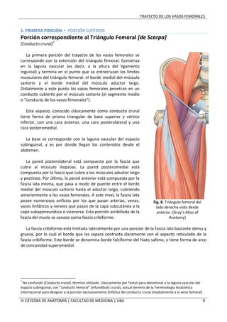 TRAYECTO DE LOS VASOS FEMORALES - Lassalle Becerra.pdf