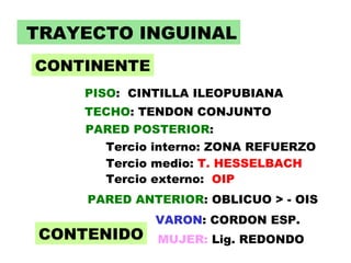 Trayecto inguinal (2) | PPS