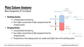 Tray vs packed column | PDF