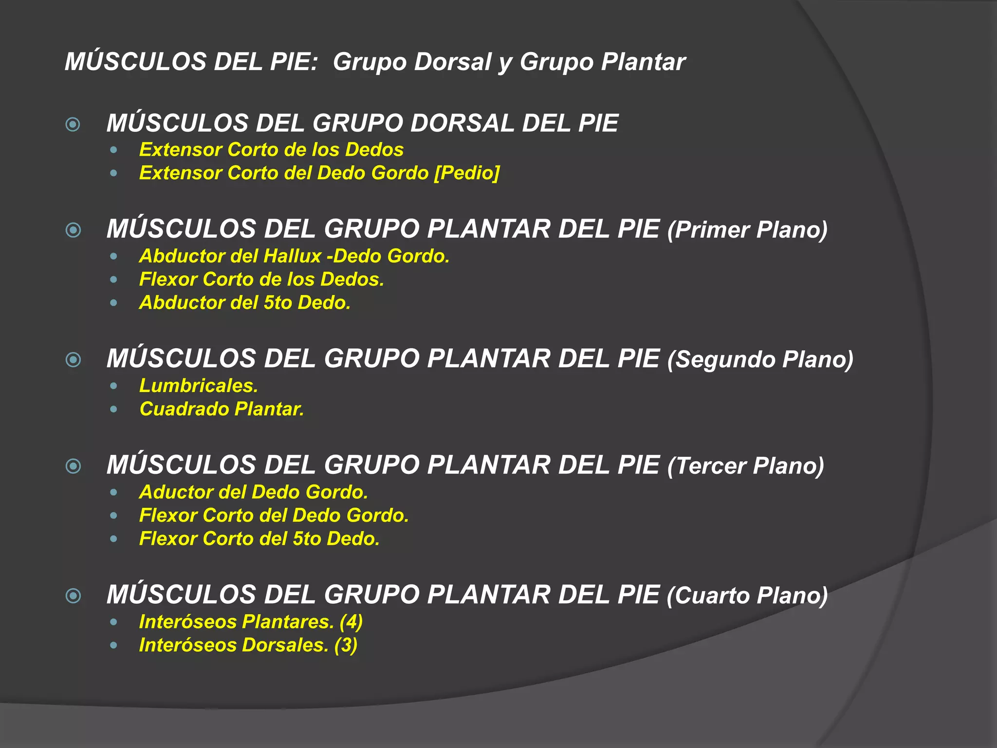 anatomía: músculos del pie | PPTX