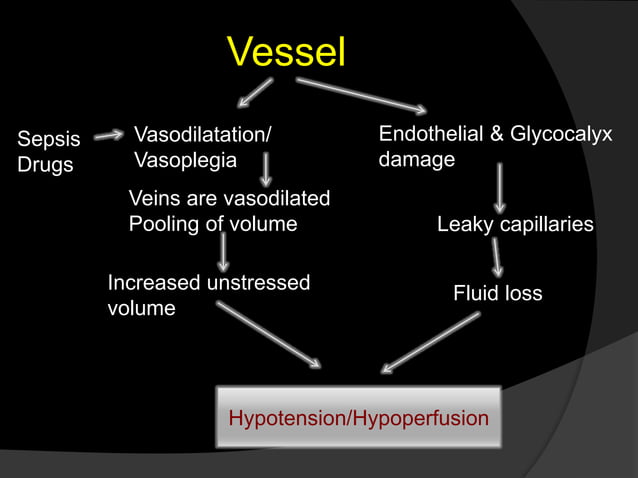 Hypotension management in ICU, volume vessel or pump? | PPTX