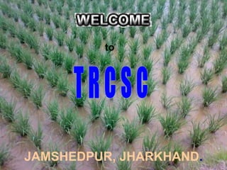 Trcsc jamshedpur | PPTX