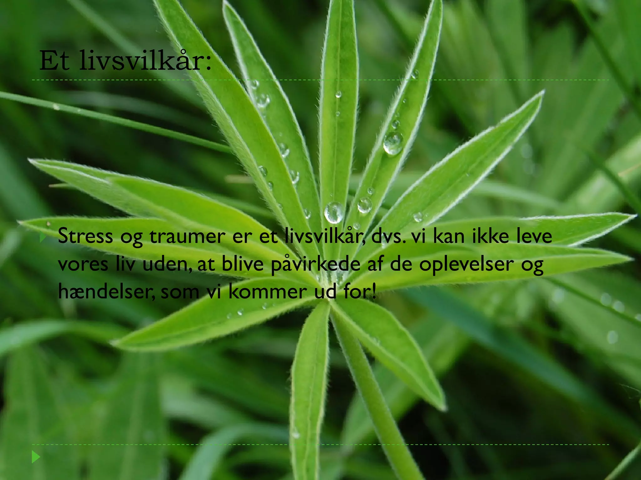 Tre tension and trauma releasing exercises. | PDF