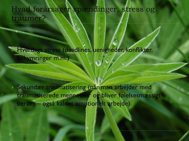 Tre tension and trauma releasing exercises. | PDF