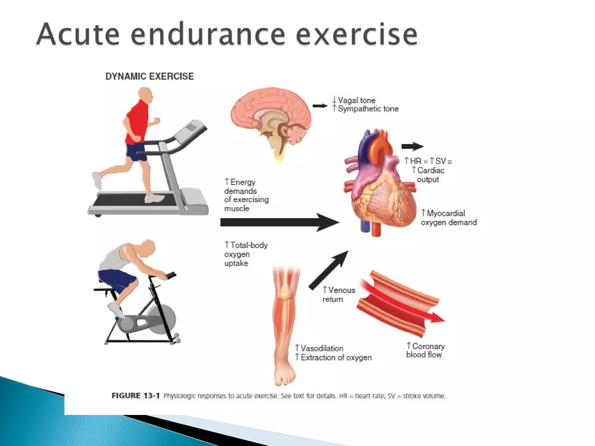 Treadmill test (TMT) | PPT
