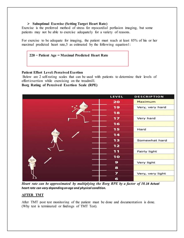 Treadmill test in cardiology | DOCX | Heart and Cardiovascular Diseases ...