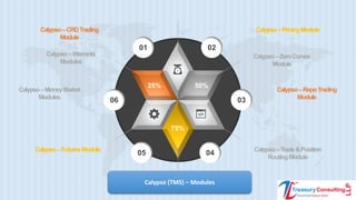 Treasury Management Systems (TMS) - Calypso | PDF