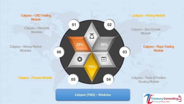 Treasury Management Systems (TMS) - Calypso | PDF