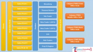 Treasury Managemen Systems (TMS) - Calypso | PDF