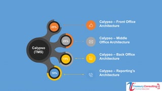 Treasury Managemen Systems (TMS) - Calypso | PDF