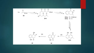 DRUG DEVELOPMENT OF DENGUE | PPTX | Chemistry | Science