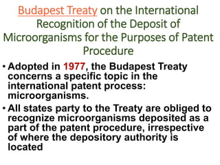 TREATIES ON IPR PROTECTION | PPTX
