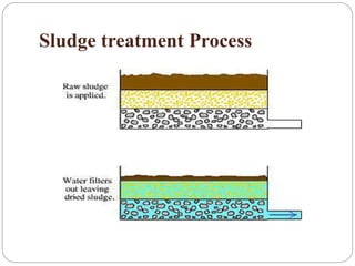 Treatments of sewage, sludge and polluted water | PPTX