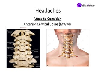 Key Areas to consider for Treatment in Sports Physiotherapy | PPT
